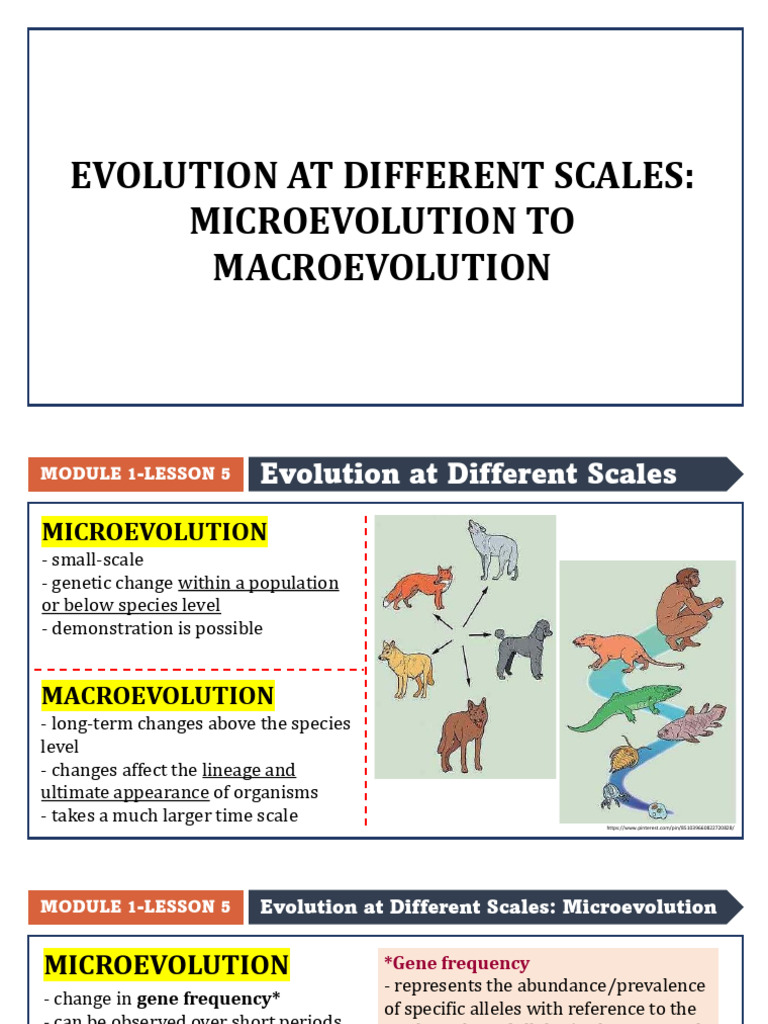 M1 L5 - Micro Macroevolution | PDF | Evolution | Species