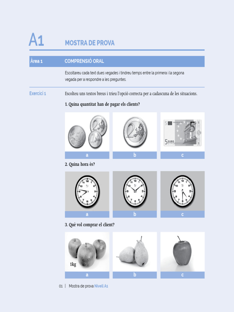 A1 Model de prova | PDF