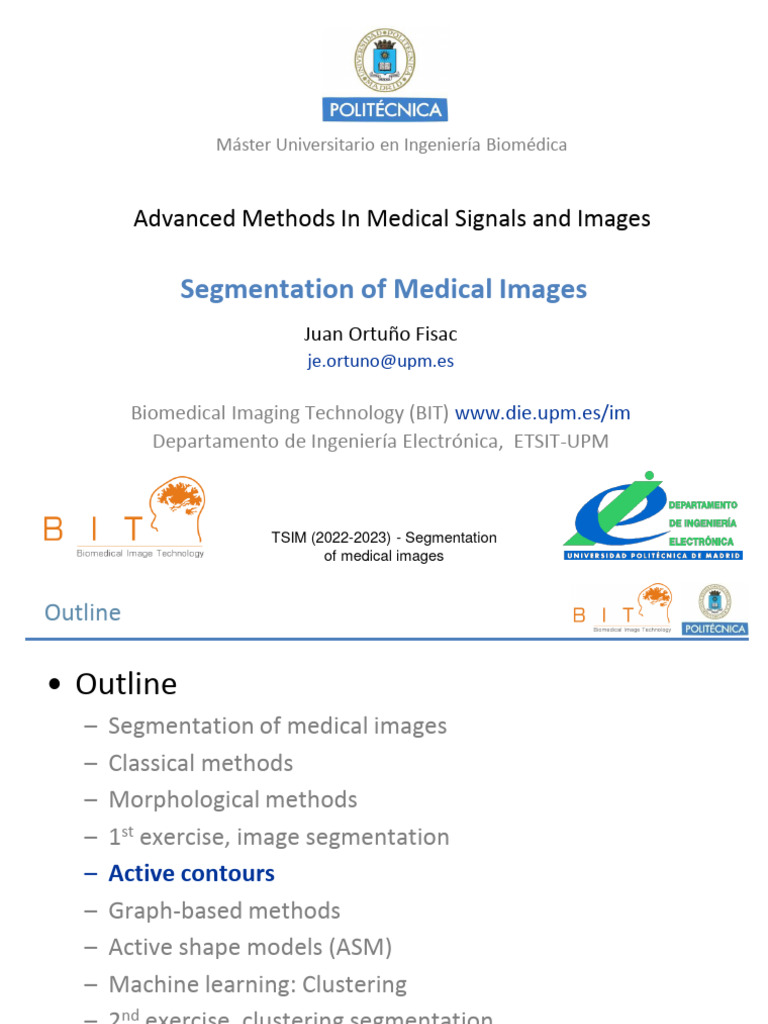 TSIM - Active Contours | PDF | Image Segmentation | Spline (Mathematics)