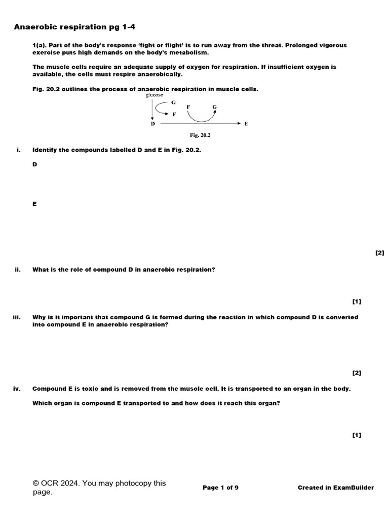 (ZS) Anaerobic Respiration Exam Questions | PDF