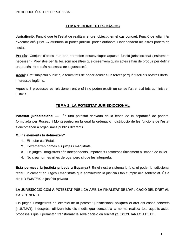 RESUM Dret Processal | PDF