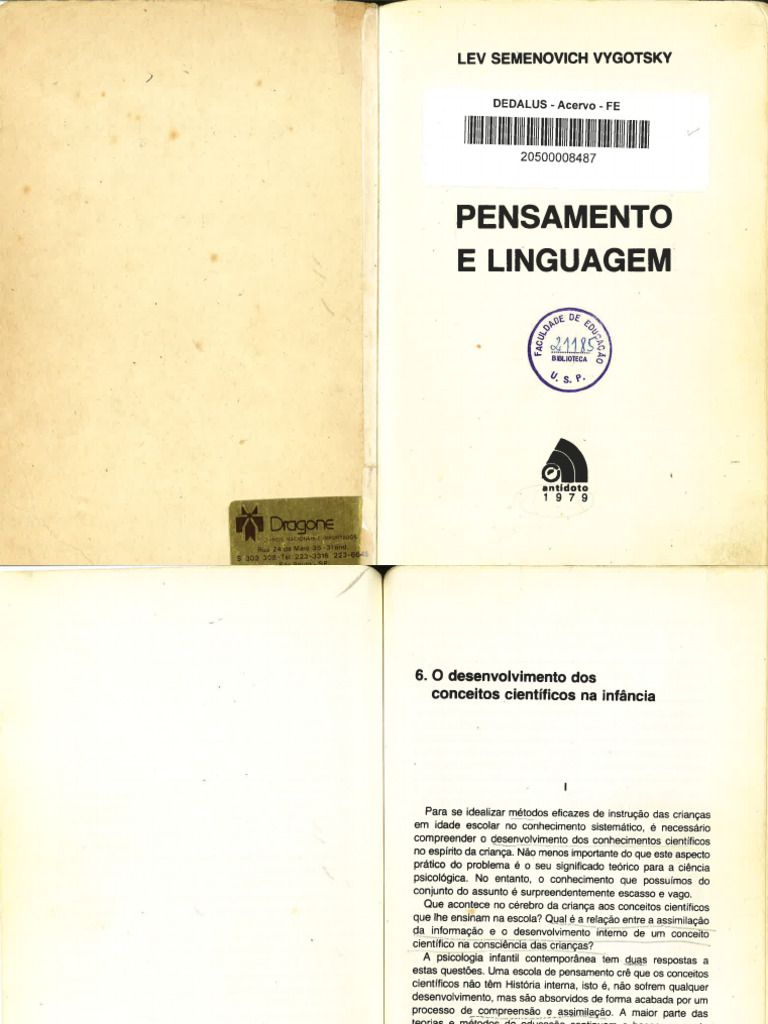 Pensamento e Linguagem - Cap 6 | PDF