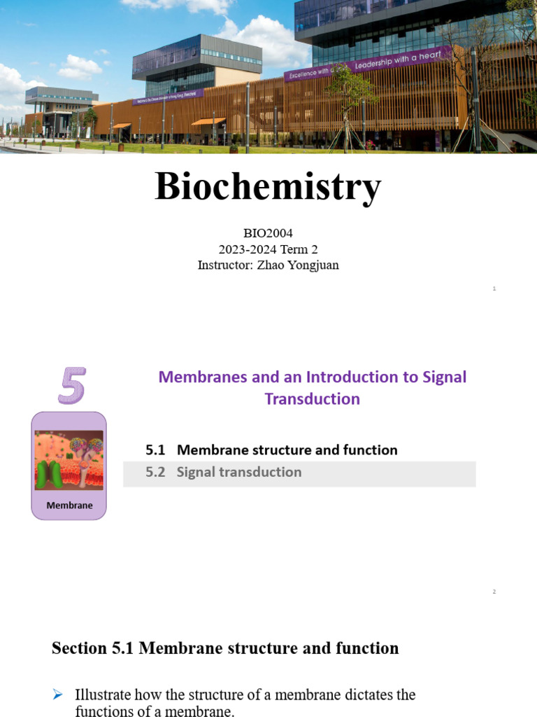 Systems Bioengineering II Neural Systems | PDF | Cell Membrane | Cell ...