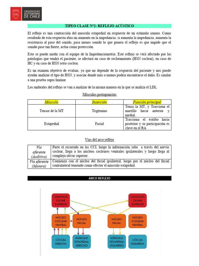 Evaluación del Reflejo Acústico en Audición | PDF | Oído | Sistema nervioso