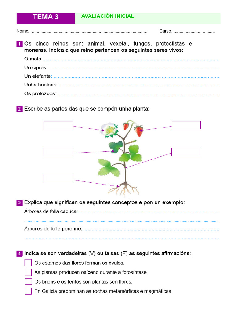Naturais 4 D Av Tema 030 | PDF