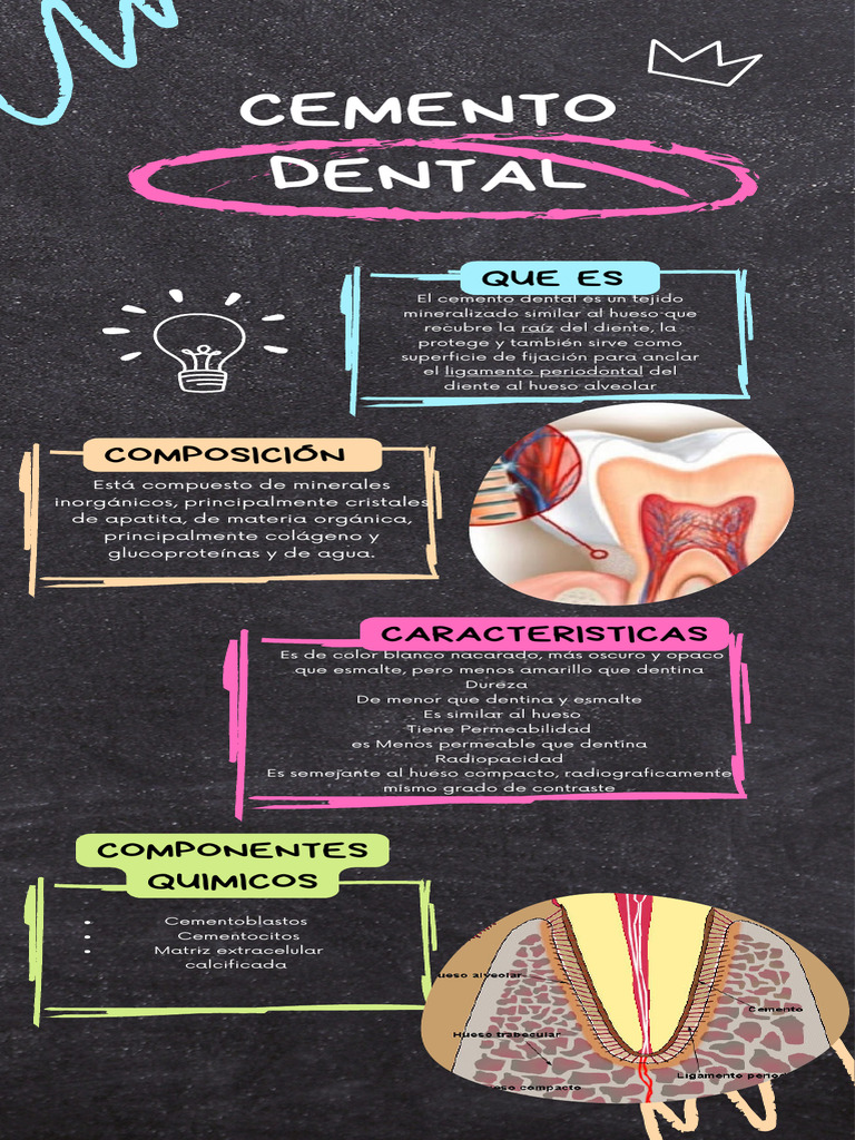 Cemento Dental | PDF