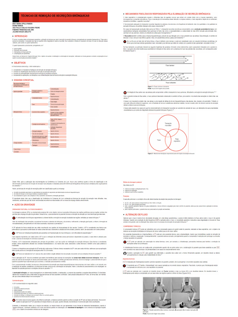 Terapia de Remocì Aì o de Secrecì Oì Es | PDF