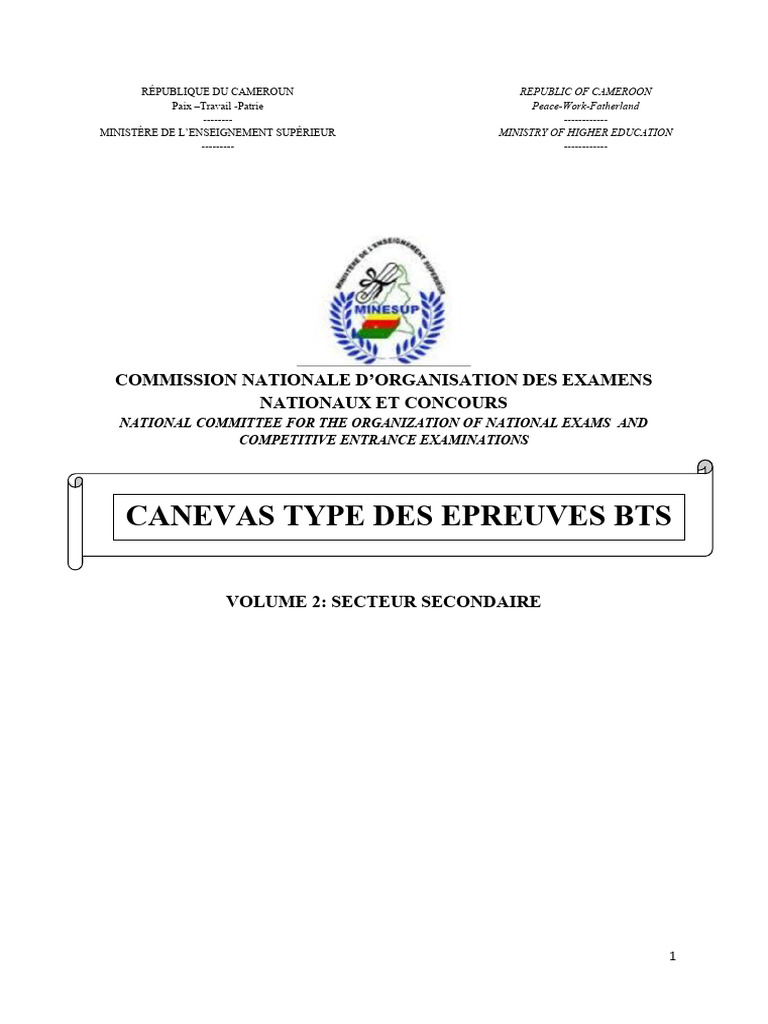 Canevas Des Epreuves Bts 2019 Volume 2 - 10012023 | PDF