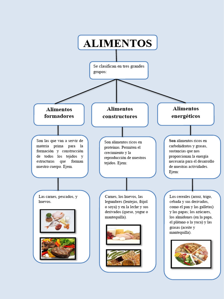 Mapa Conceptual de Los Alimentos 2 | PDF
