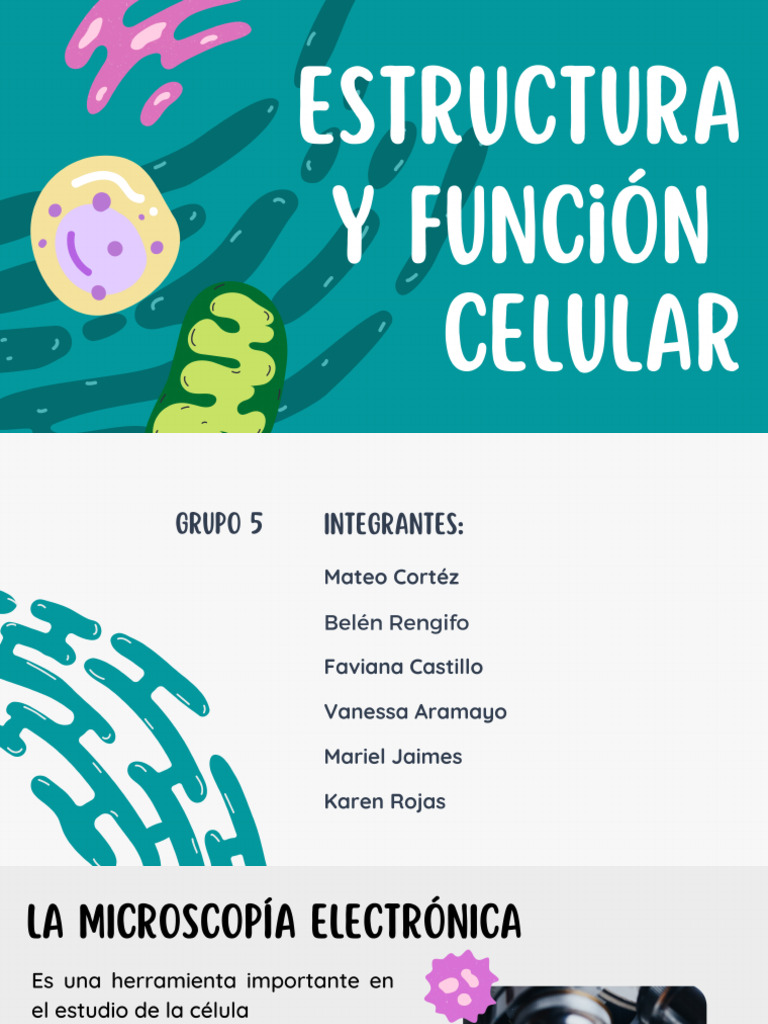 Estructura y Función Celular | PDF