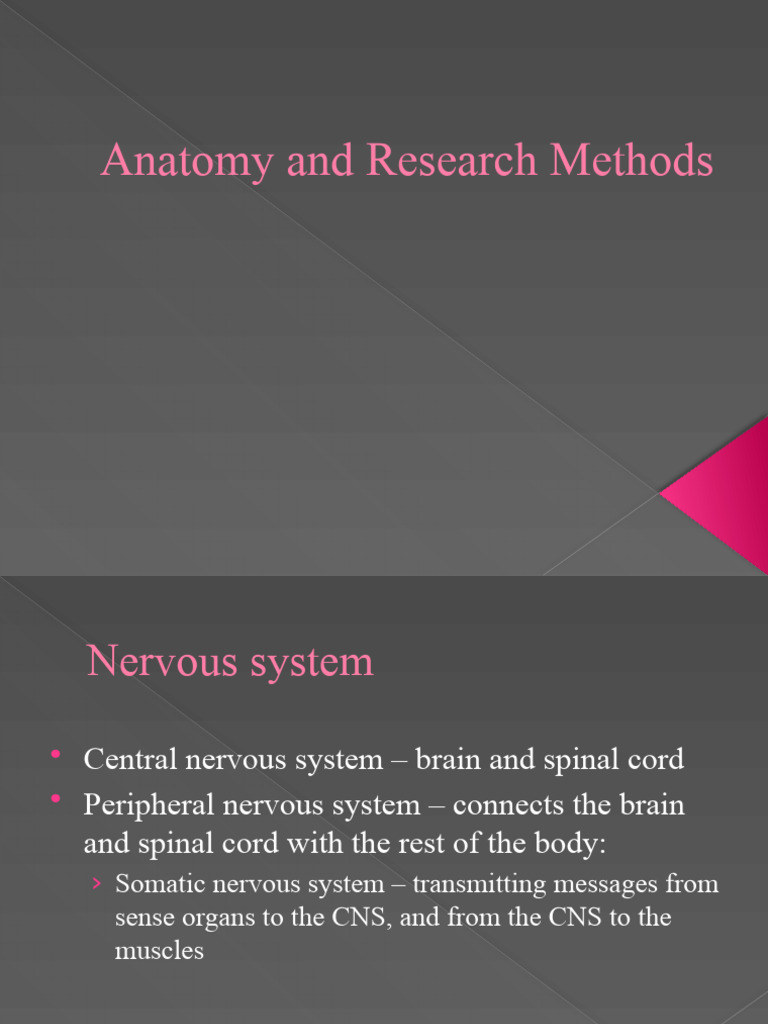 Anatomy and Research Methods | PDF | Nervous System | Central Nervous System