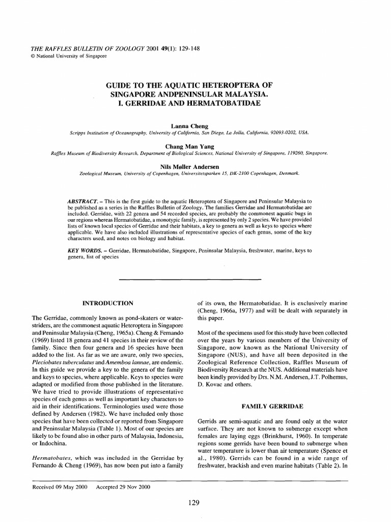 Guide to Gerridae | PDF | Insects | Zoology