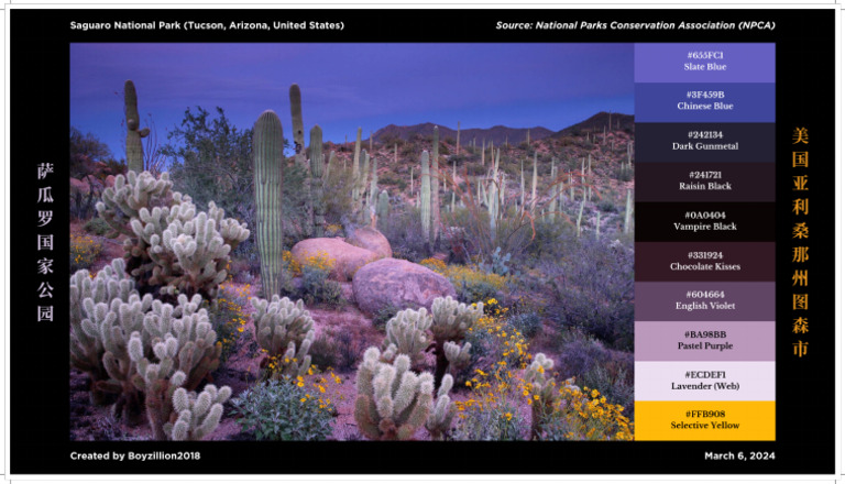 Saguaro National Park (Color Palette Names) | PDF