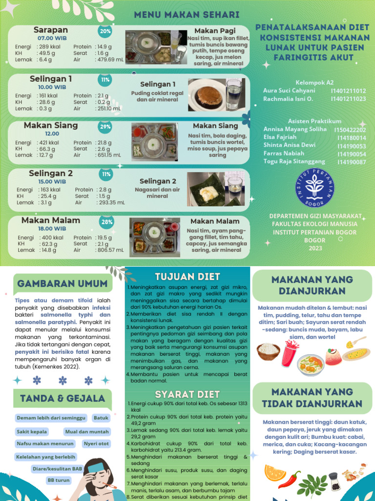 P1 A2 Leaflet Tipes | PDF