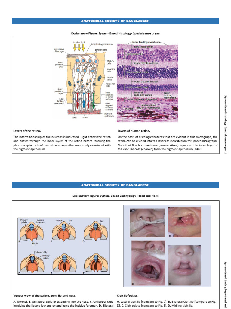 Board I Picture Landscape ASB | PDF
