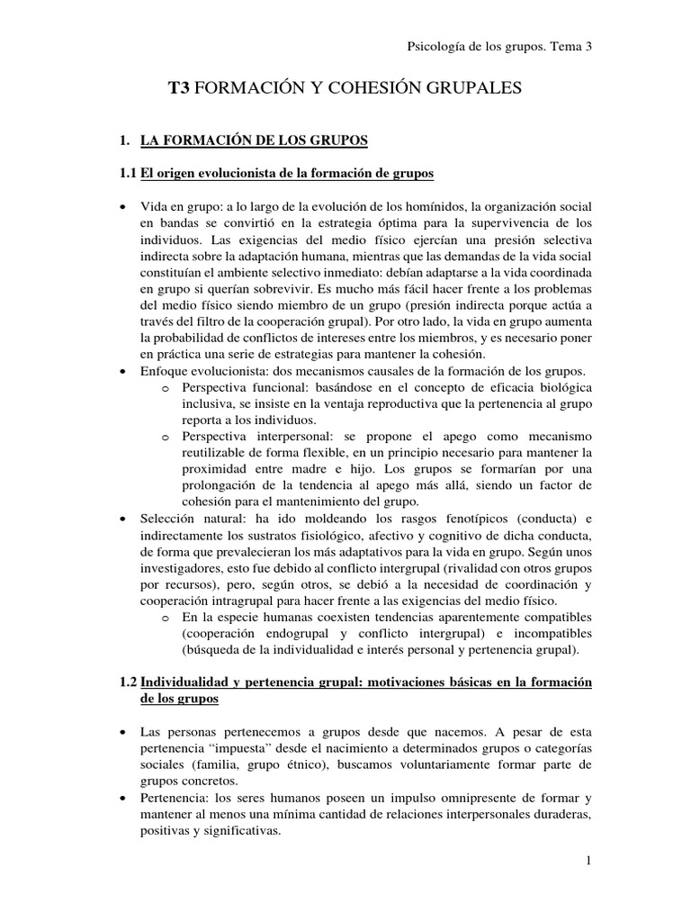 PG Tema 3 | PDF | Cohesión grupal | Sicología