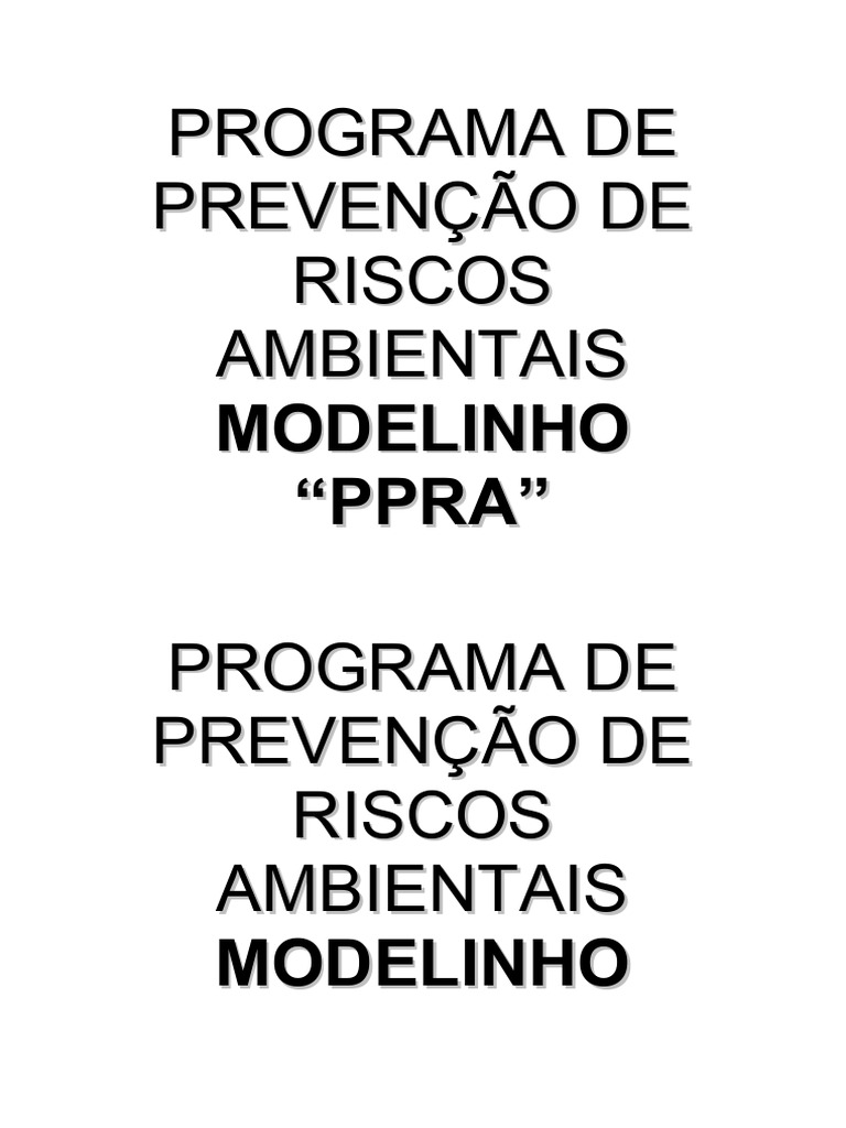 PPRA 2024 Modelo | PDF