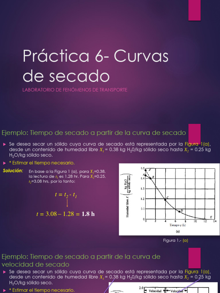 Ejercicio Práctica 6 - Curvas de Secado | PDF