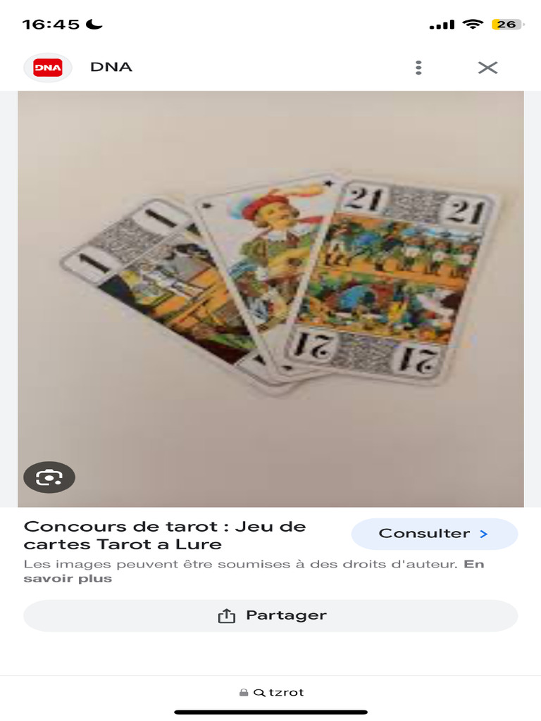 VJJ | PDF