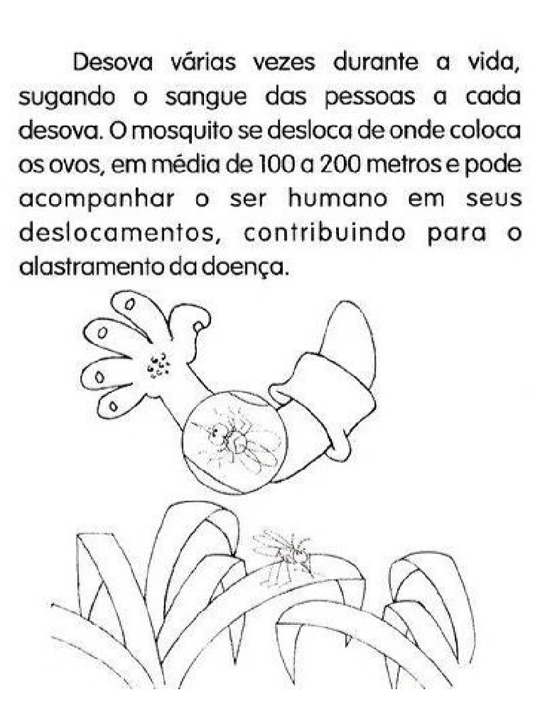 Dengue para Mural | PDF