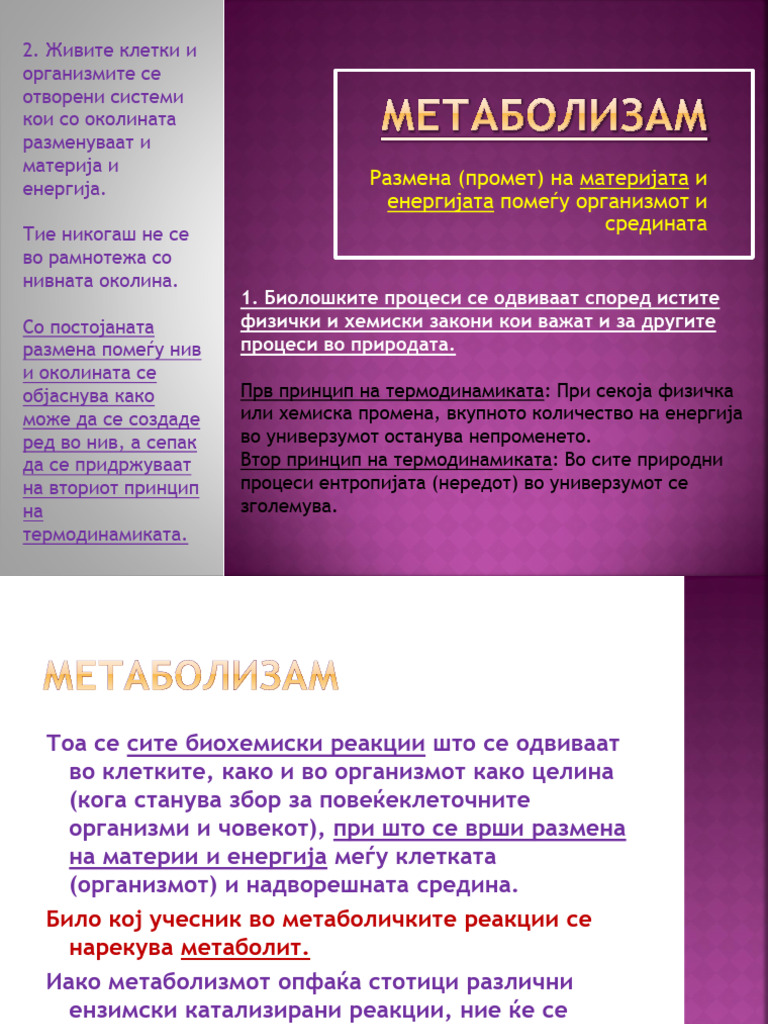 Voved Vo Metabolizam Vezbi | PDF