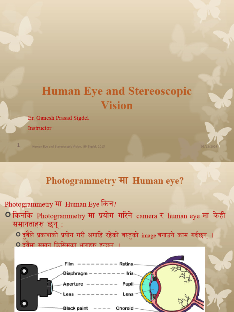 Human Eye and Stereoscopic Vision | PDF