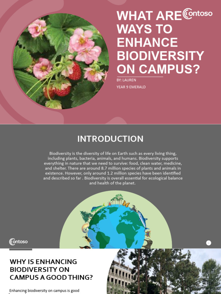 What Are Ways to Enhance Biodiversity on Campus | PDF | Biodiversity ...