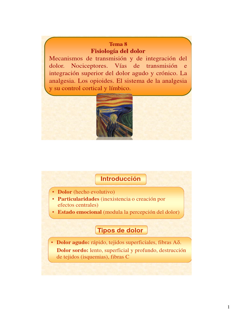 Tema_08_Presentacion | PDF | Dolor | Sistema nervioso