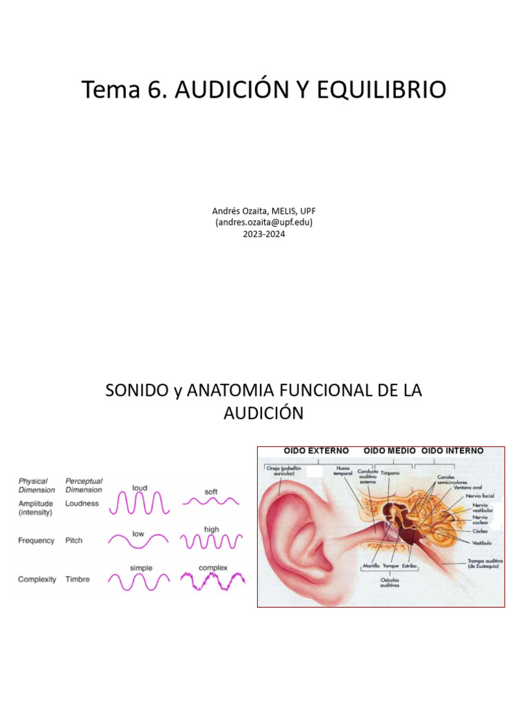Audición y Equilibrio: Anatomía Funcional | PDF | Órgano (anatomía ...