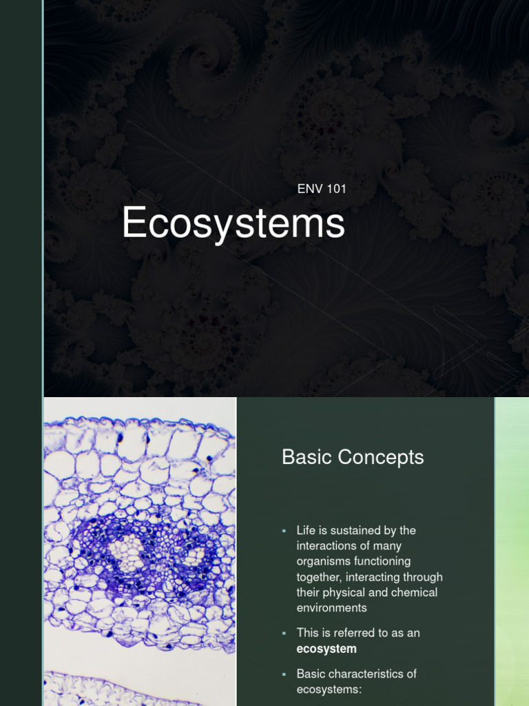 5 Ecosystems | PDF | Food Web | Ecosystem