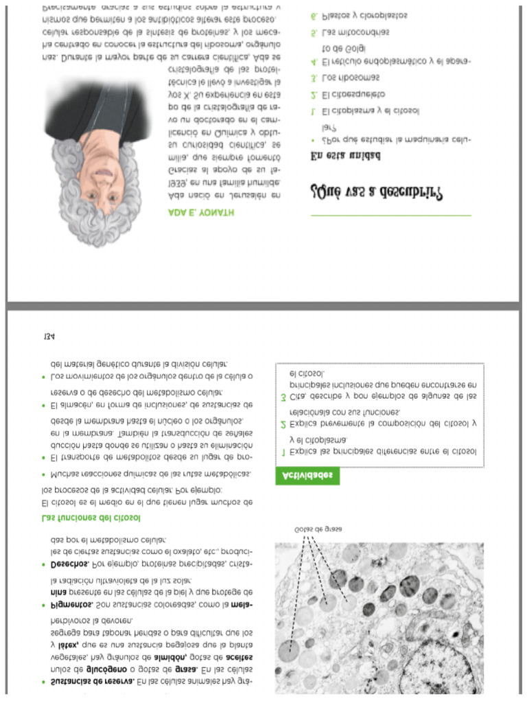 Biologia 2 Bach | PDF