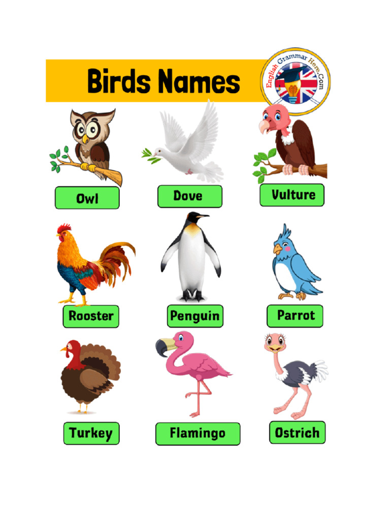 Animals&colors Worksheet | PDF