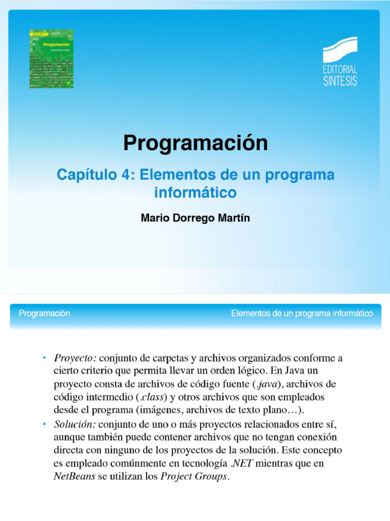 Elementos de Programacion | PDF