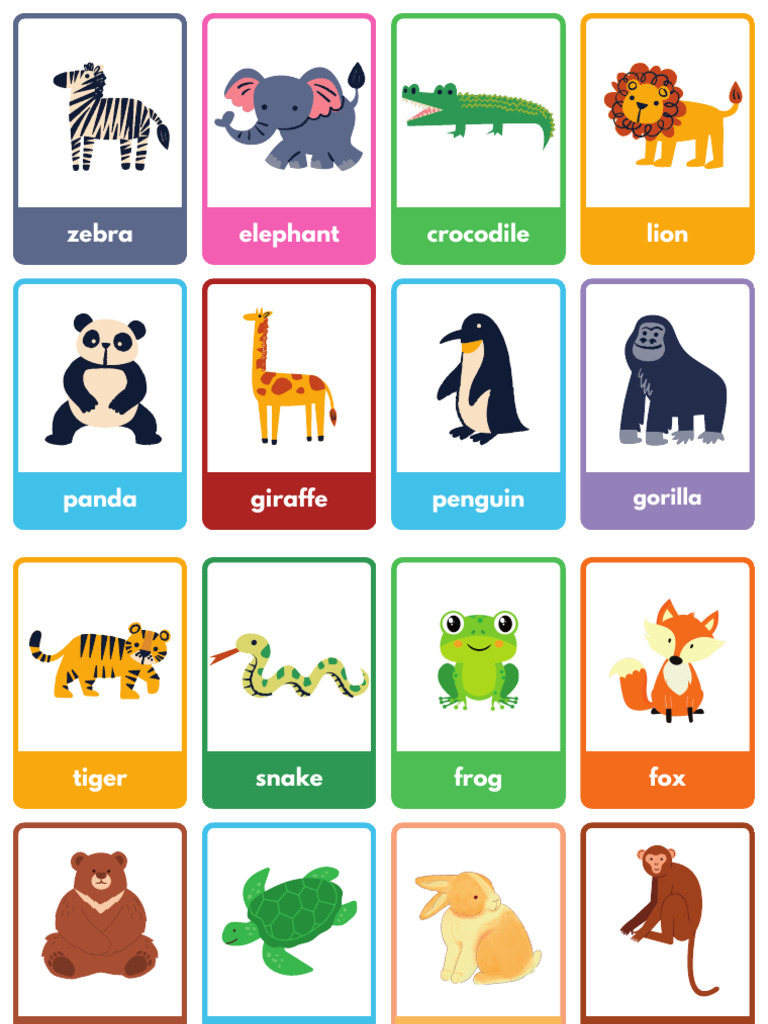 Colourful Animals Flashcards | PDF