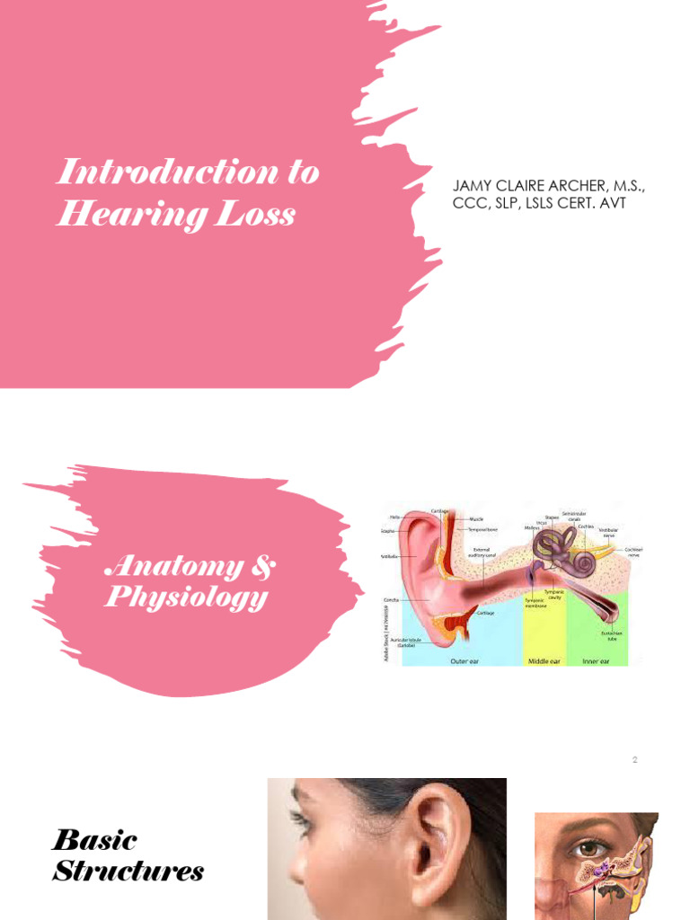 Introduction To Hearing Loss 2 | PDF | Ear | Hearing