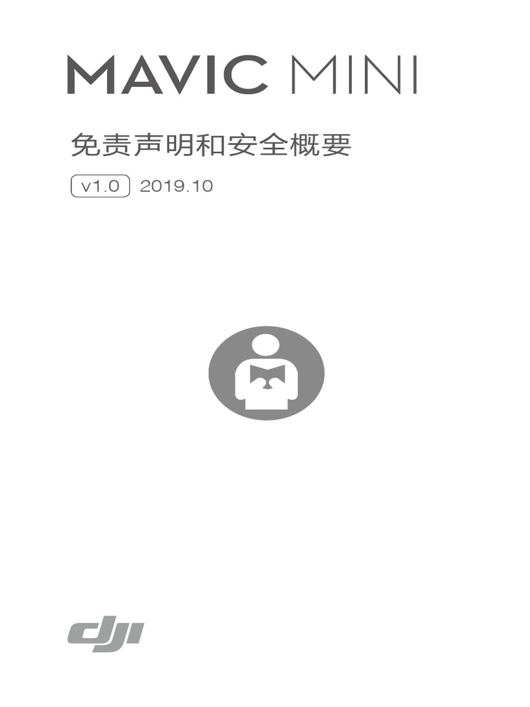 Mavic Mini Disclaimer and Safety Guidelines CHS | PDF