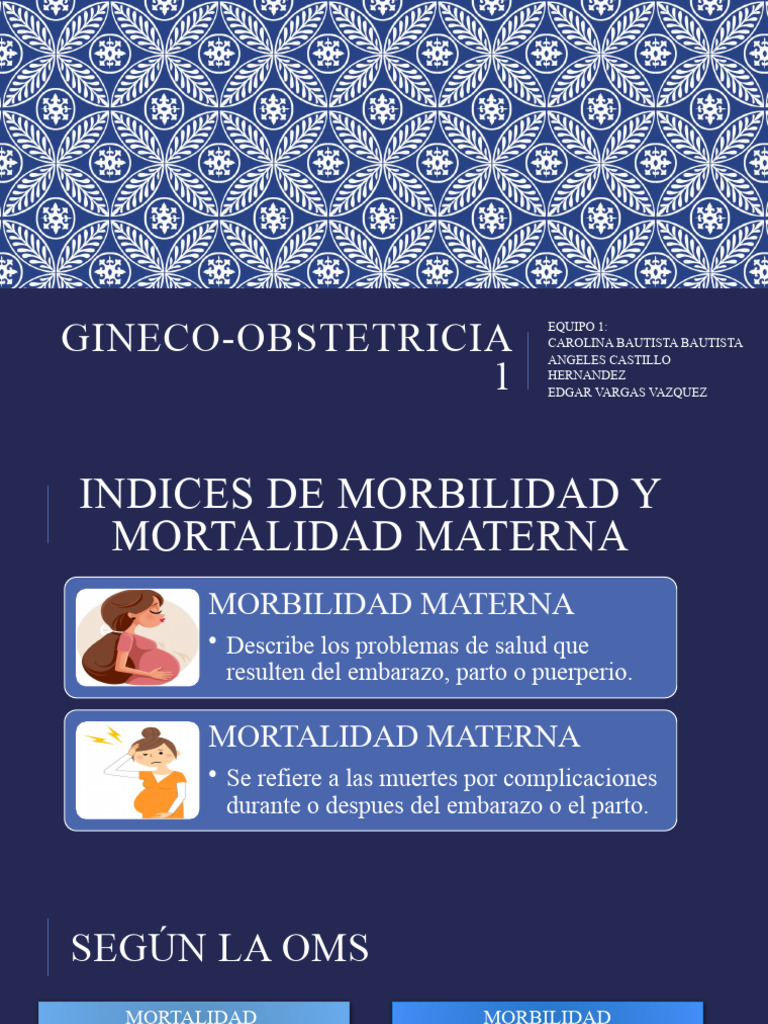 Tema 1 Indice de Morbilidad y Mortalidad Materna y Perinatal | PDF ...