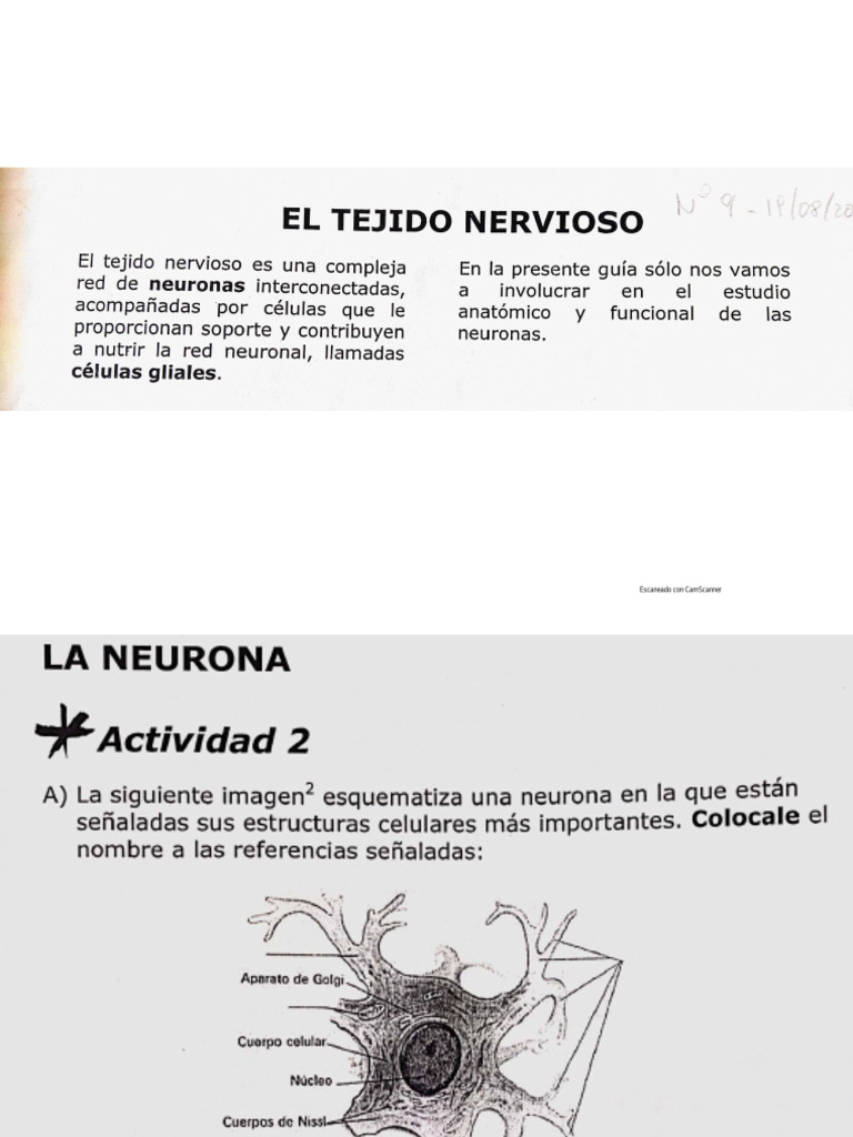 Tercero. TP N9 | PDF