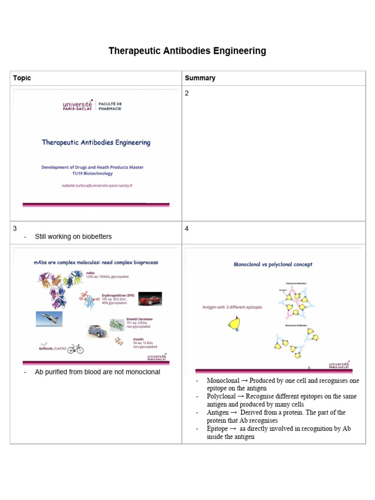 2 - Therapeutic Antibodies Engineering | PDF