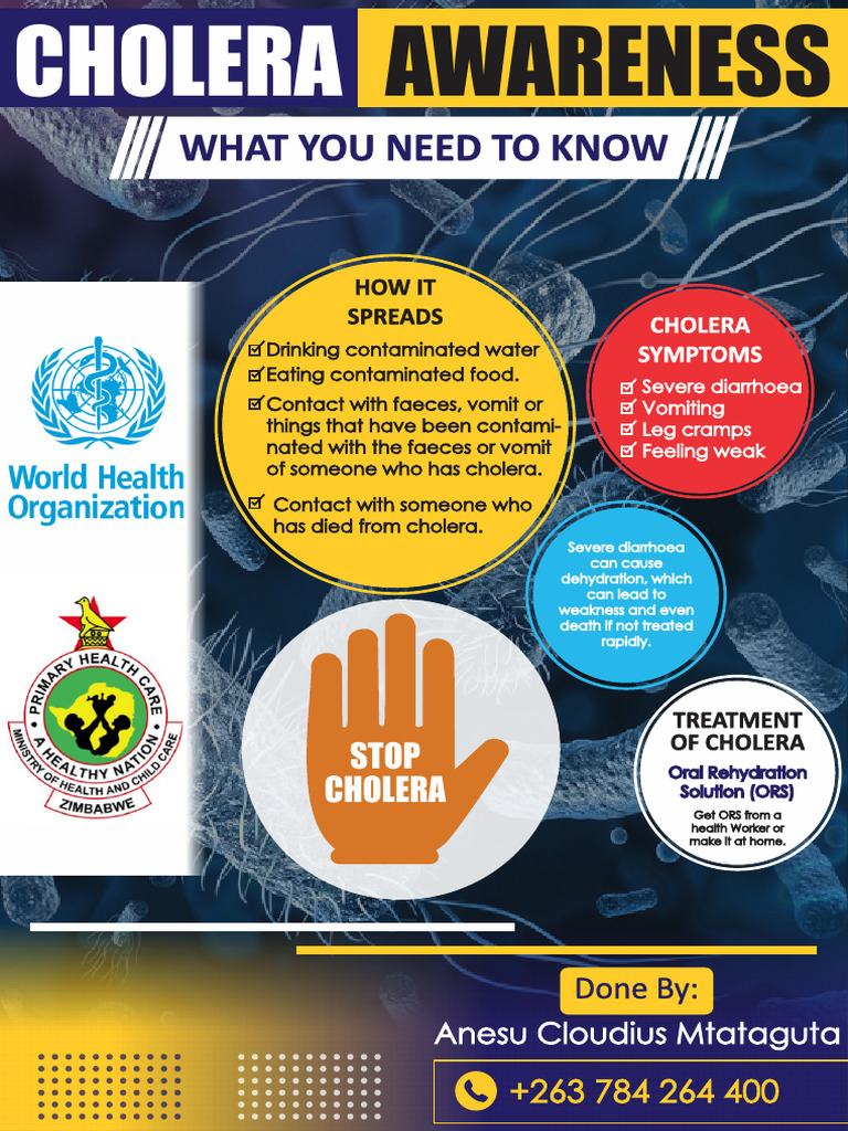 Anesu Cholera Awareness Flyer-1 | PDF | Wellness
