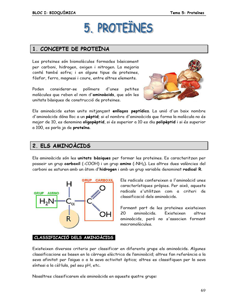1 05 Proteïnes | PDF