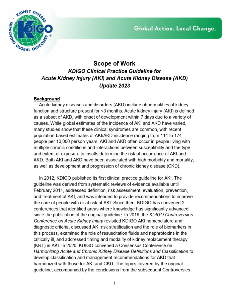 KDIGO 2023 Guidelines for AKI and AKD | PDF | Medical Specialties ...