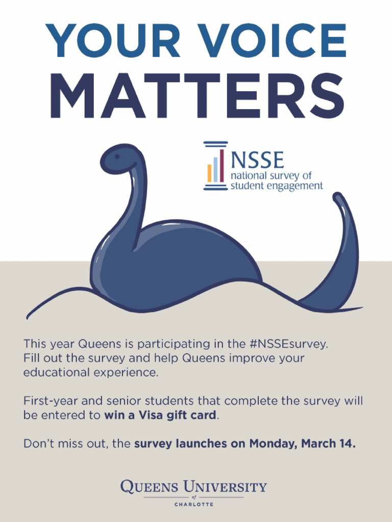 NSSE 2022 Promotional Flyer | PDF