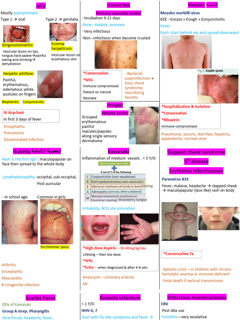 Fever & Rash PDF | PDF