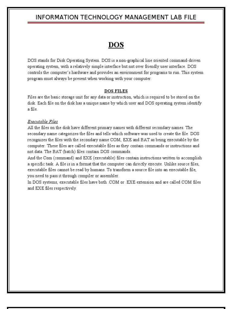 Computer Project | PDF | Computer File | Dos