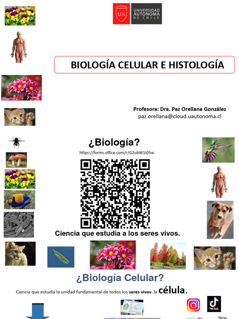 Clase 1 Seres Vivos. | PDF | Organismos | Biología Celular)