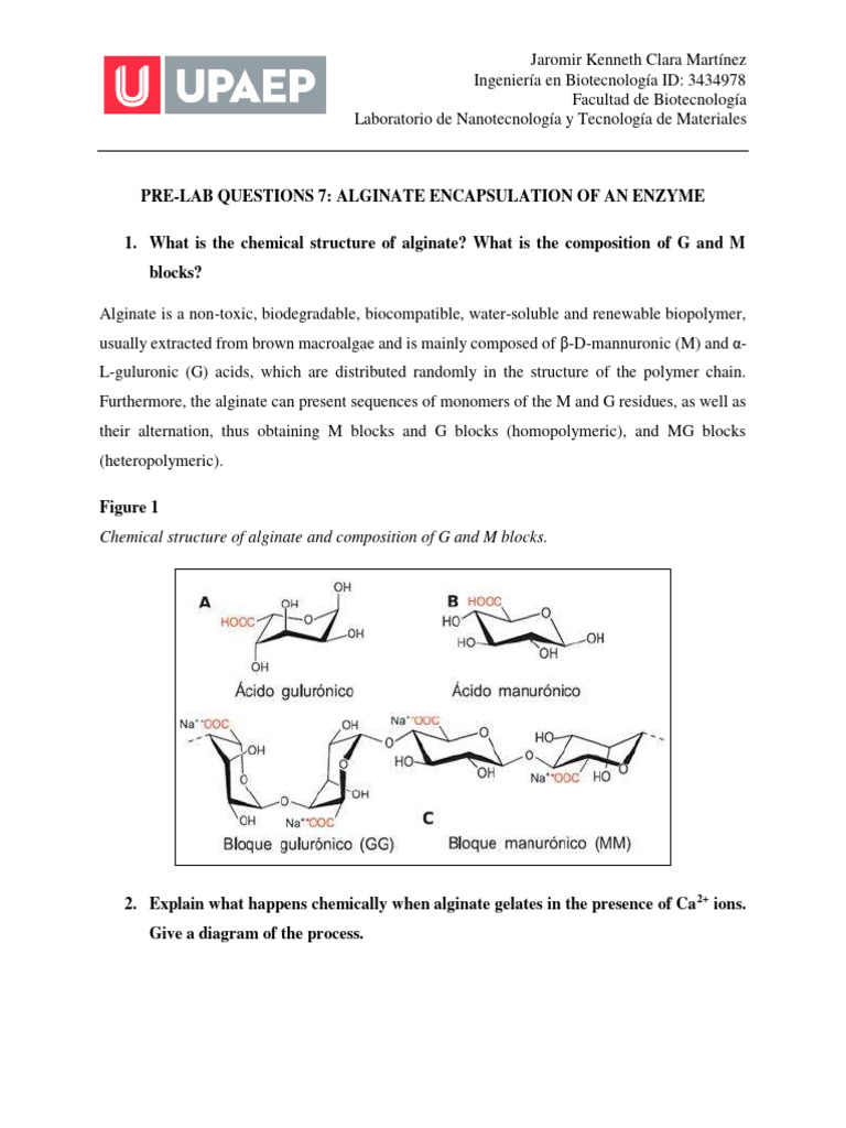 Alginate Enzyme Encapsulation Guide | PDF | Biopolymer | Biochemistry