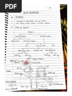 Complete Anatomy Handwritten Notes | PDF