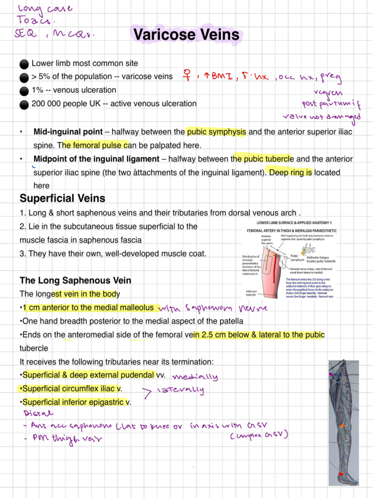 Varicose - Veins | PDF | Vein | Thrombosis