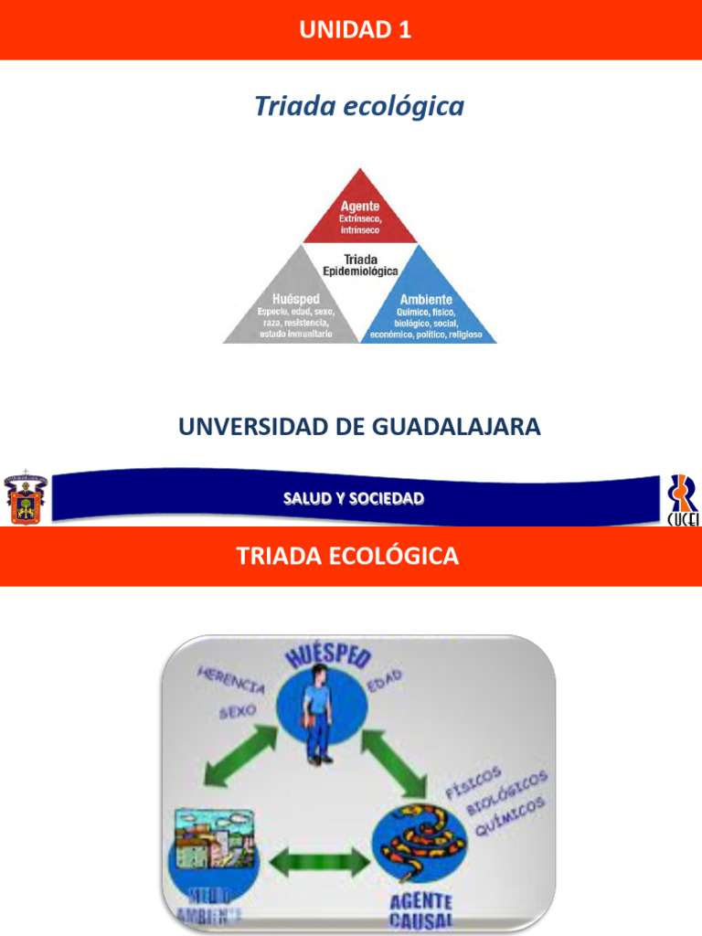 Unidad 1. Triada Ecologica (1) | PDF | Alimentos | Nutrición